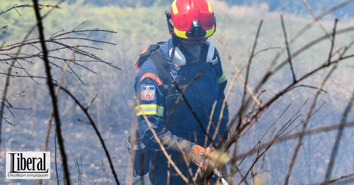 Πυροσβεστική: Ξεκίνησαν οι έλεγχοι σε ακαθάριστα οικόπεδα - 3.748 καταγγελίες πολιτών σε 18 ...